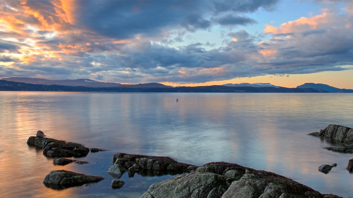 South Island Division of Family Practice (SIDFP)